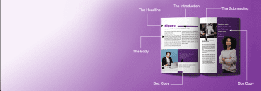 magazine content structure